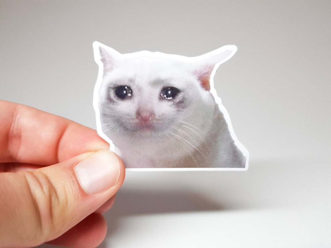 Meme Sticker "jesus - Excuse Me?" - Funny Christ Sticker - Sassy ...