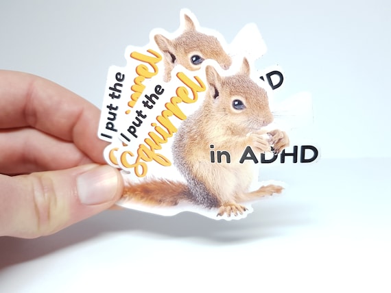 Squirrel Adhd Meme