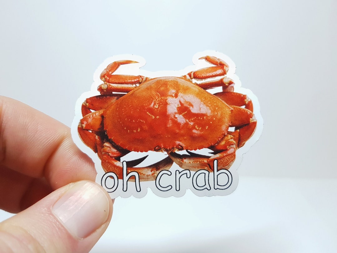 Meme Sticker "oh Crab!" - Funny Pun Sticker for All Crab Lovers! - Etsy