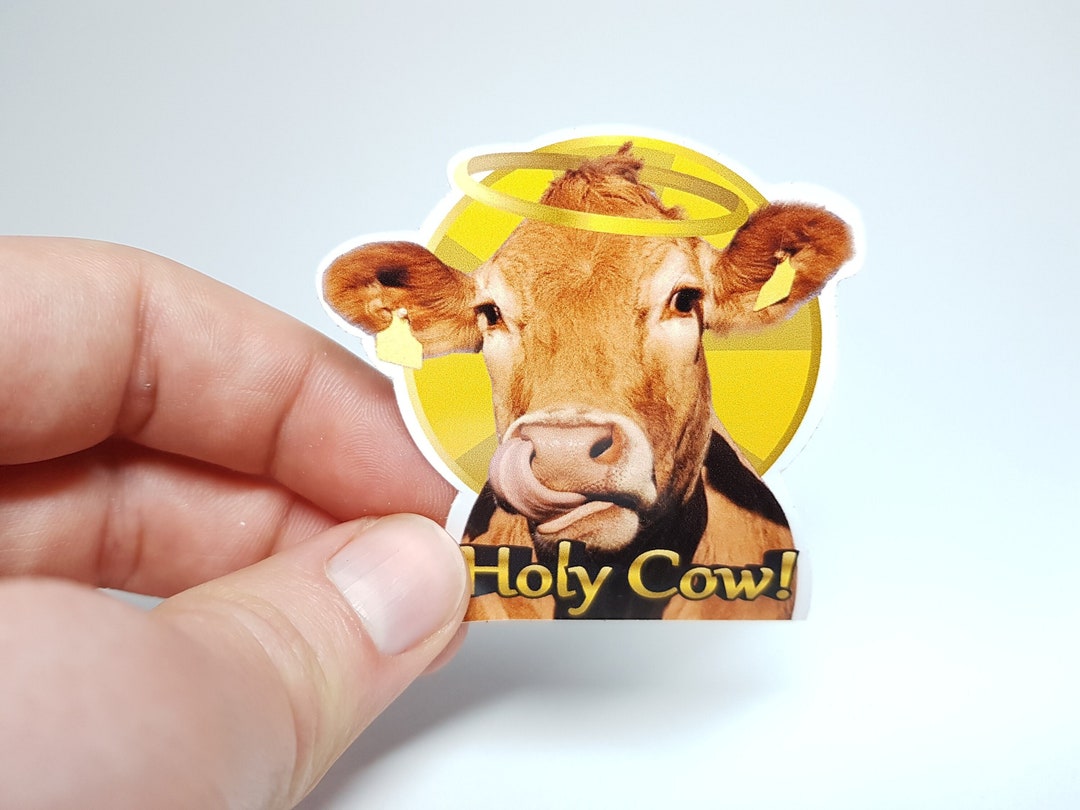 Meme Sticker "holy Cow!" - Udderly Divine Funny Cow Sticker for All ...
