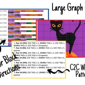 Halloween Black Cat on Pumpkin Graph + Written Pattern for C2C ...