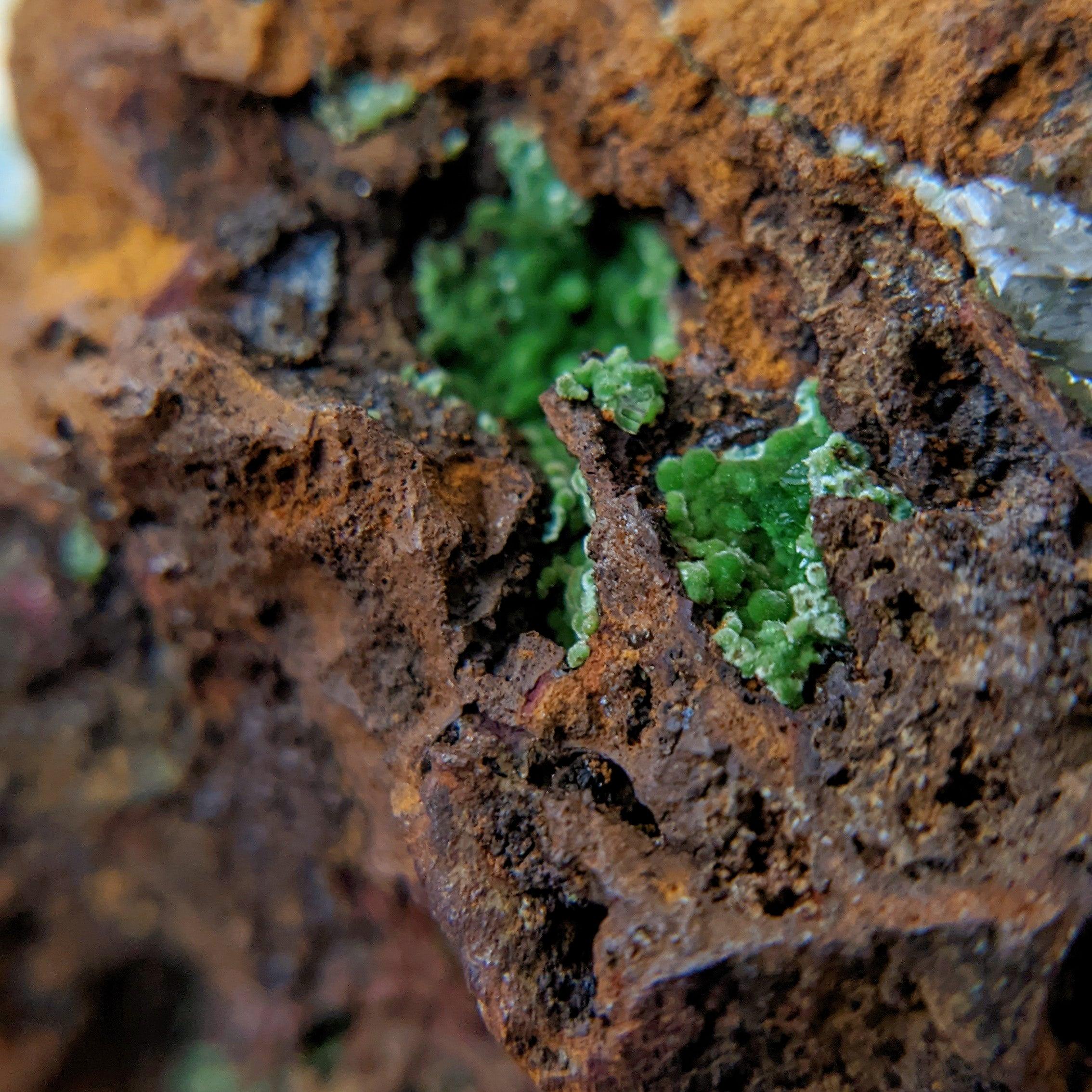 High Grade Green Conichalcite in Shiny Transparent Uv Reactive Calcite ...