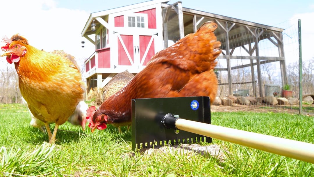 Chicken Coop Droppings Board Scraper Tool - Etsy