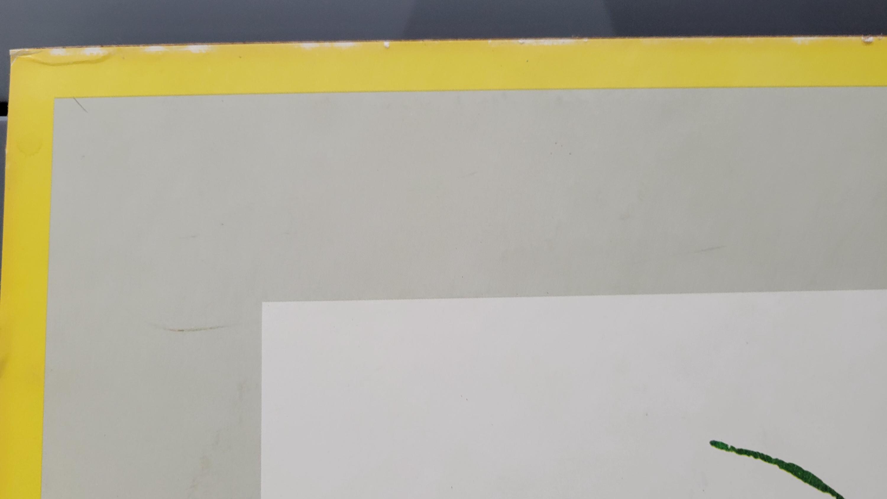 Pablo PICASSO Hand With Flowers Lithograph Art Print - Etsy