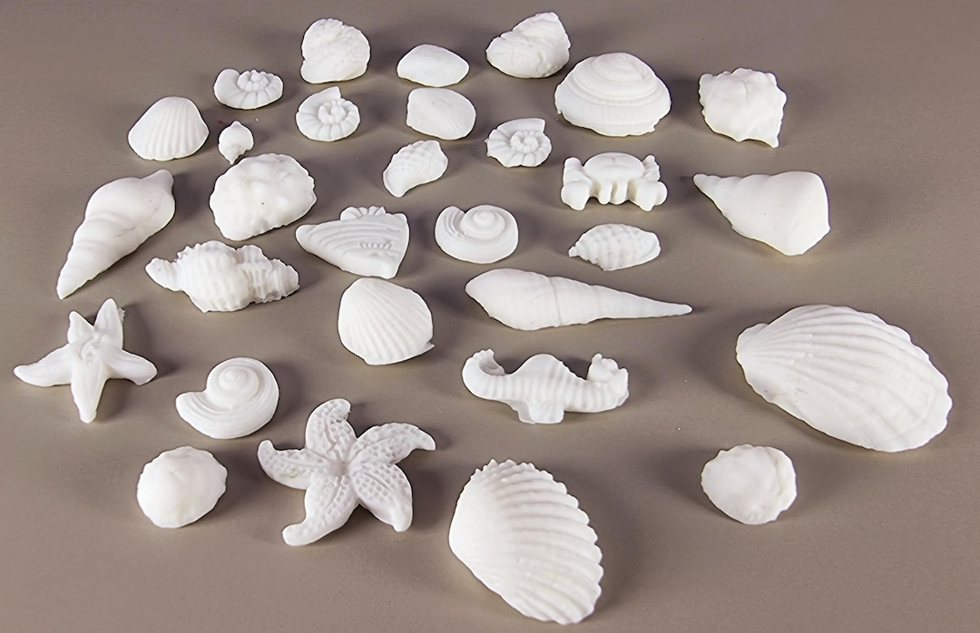 30 X Edible 3D Seashells Shells Shells Icing Toppers, Cake Cupcakes ...