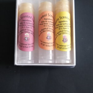 Fall Themed Lip Balm 3 Pack - Etsy