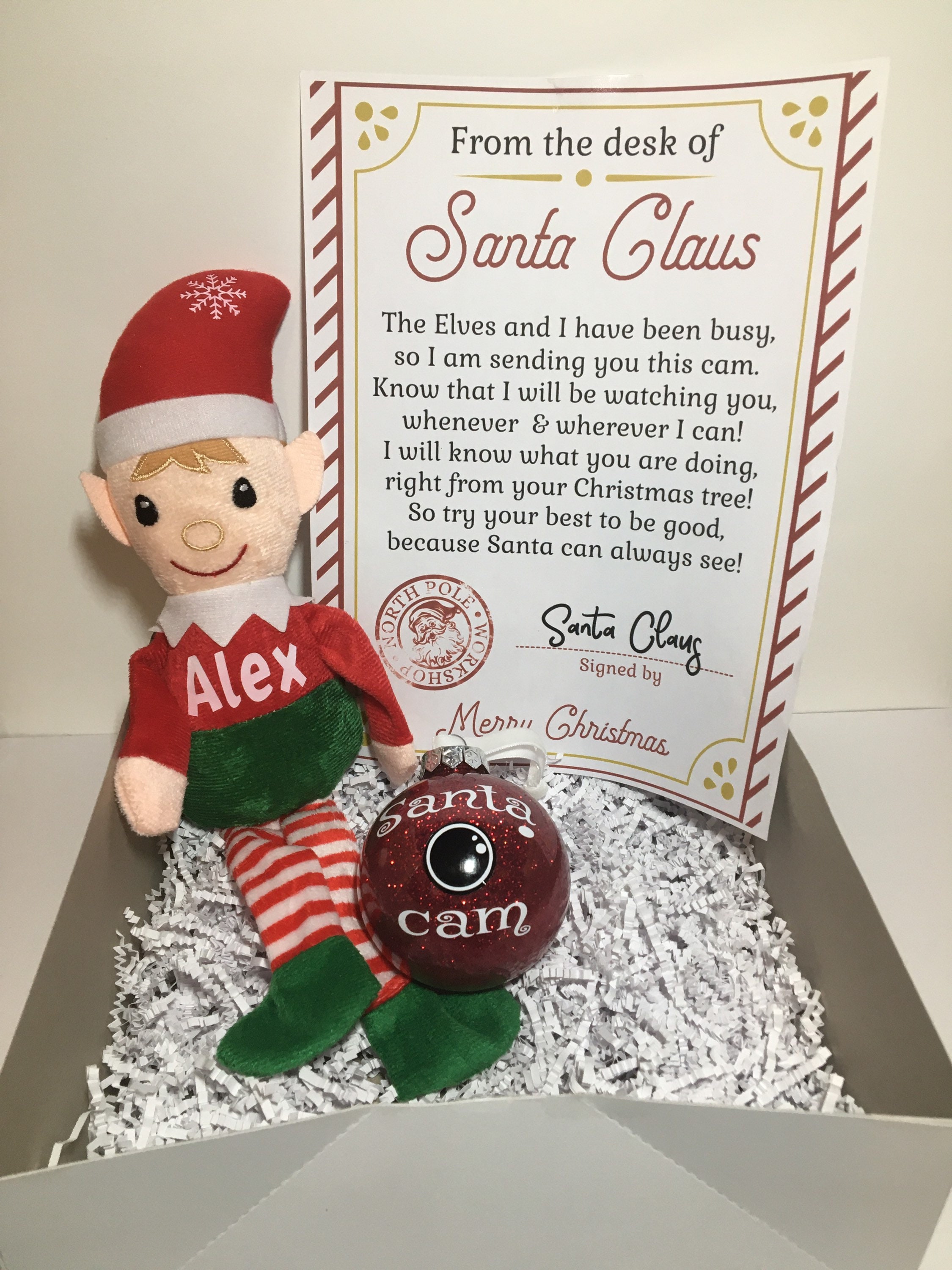 Personalized Elf With Cam and Letter, Santa Cam, Elf Cam, Letter From ...