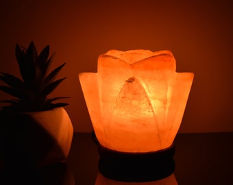 Himalayan Pink Salt Lamp Natural Hand Crafted Flower Lamp Crystal Rock ...