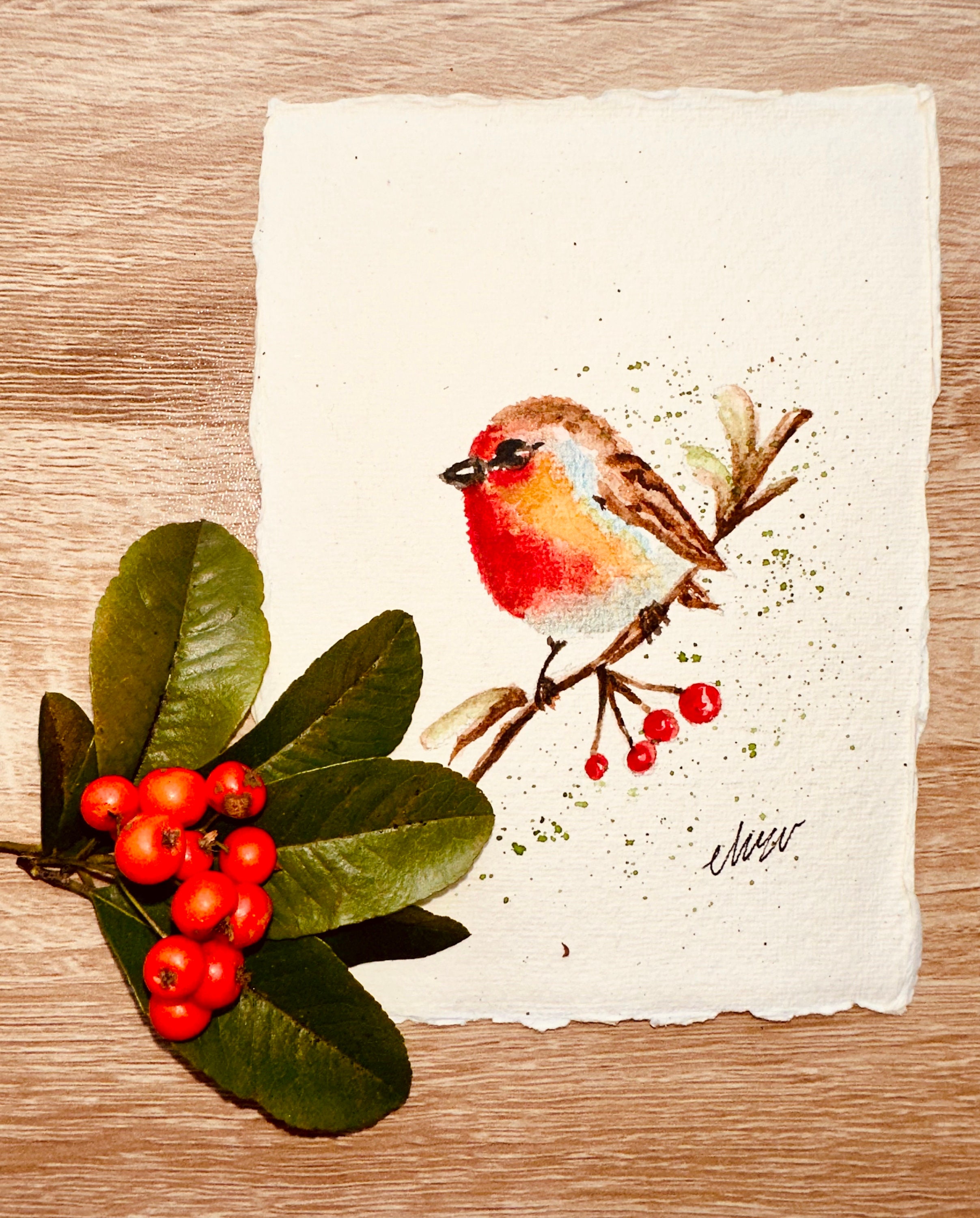 Robin Postcard Festive Christmas Bird Holiday Card Botanical Xmas ...