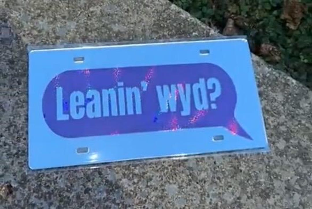 Leanin’ Wyd? License Plate, Gifts for Him, Hunting Gifts, Leanin’ Wyd ...