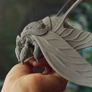 Giant Moth and Mothfolk Tamer | Eacles and Imperialis, Fidelium Shaman ...