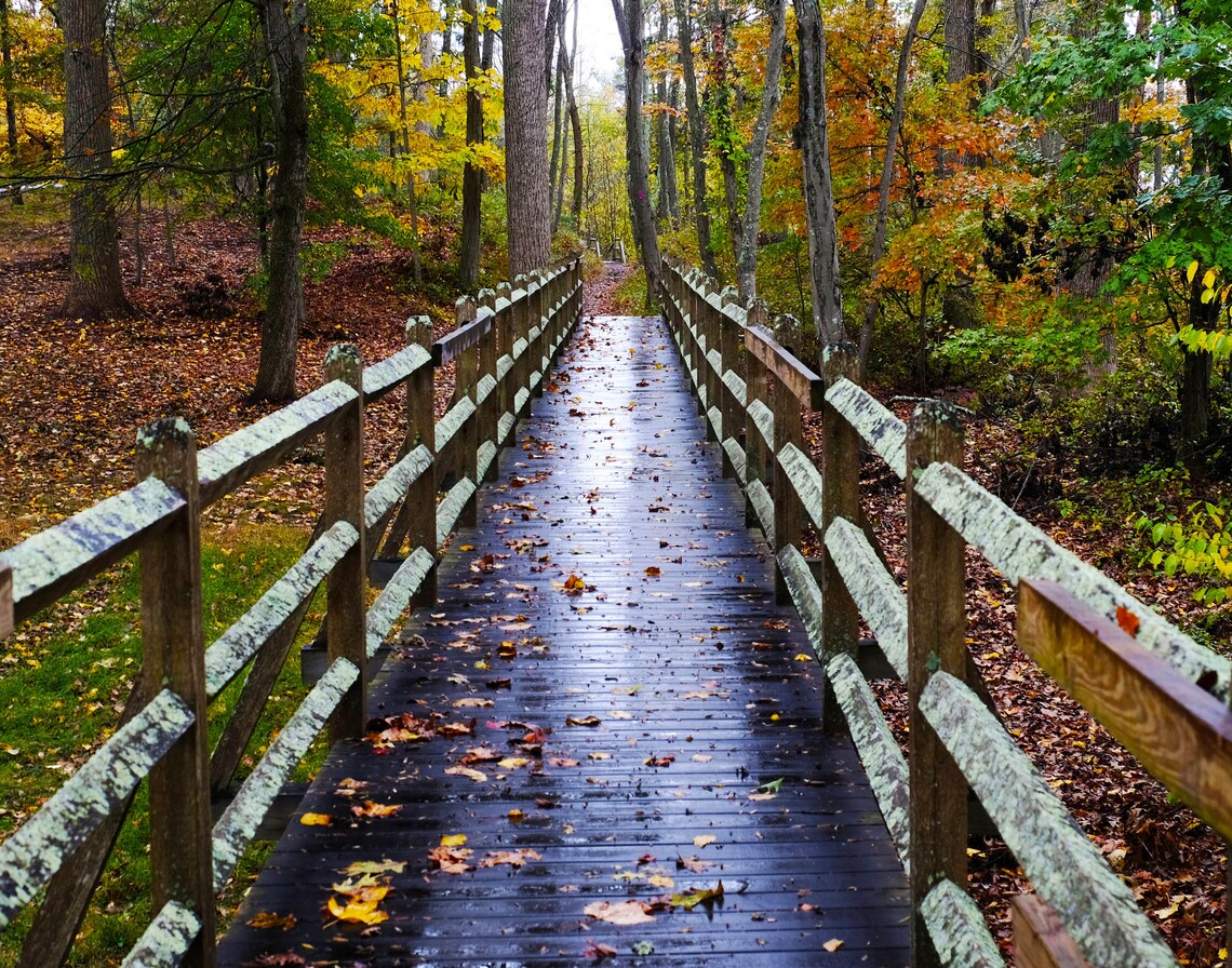Fall Upstate New York, Fall Foliage Photography Print, Nature ...