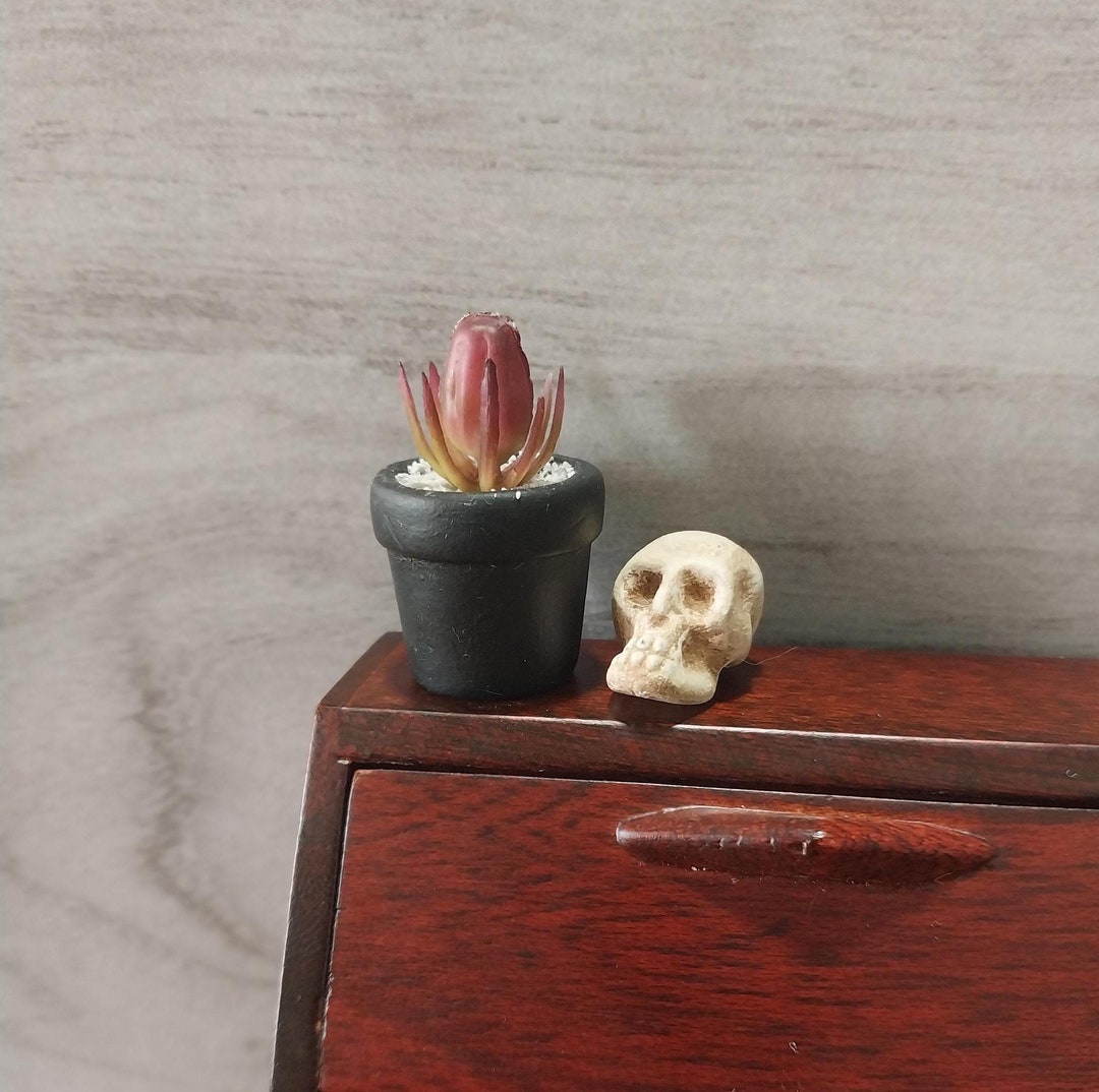 Venus Flytrap Halloween Plant - 1:12 Scale Dollhouse Miniature - Etsy