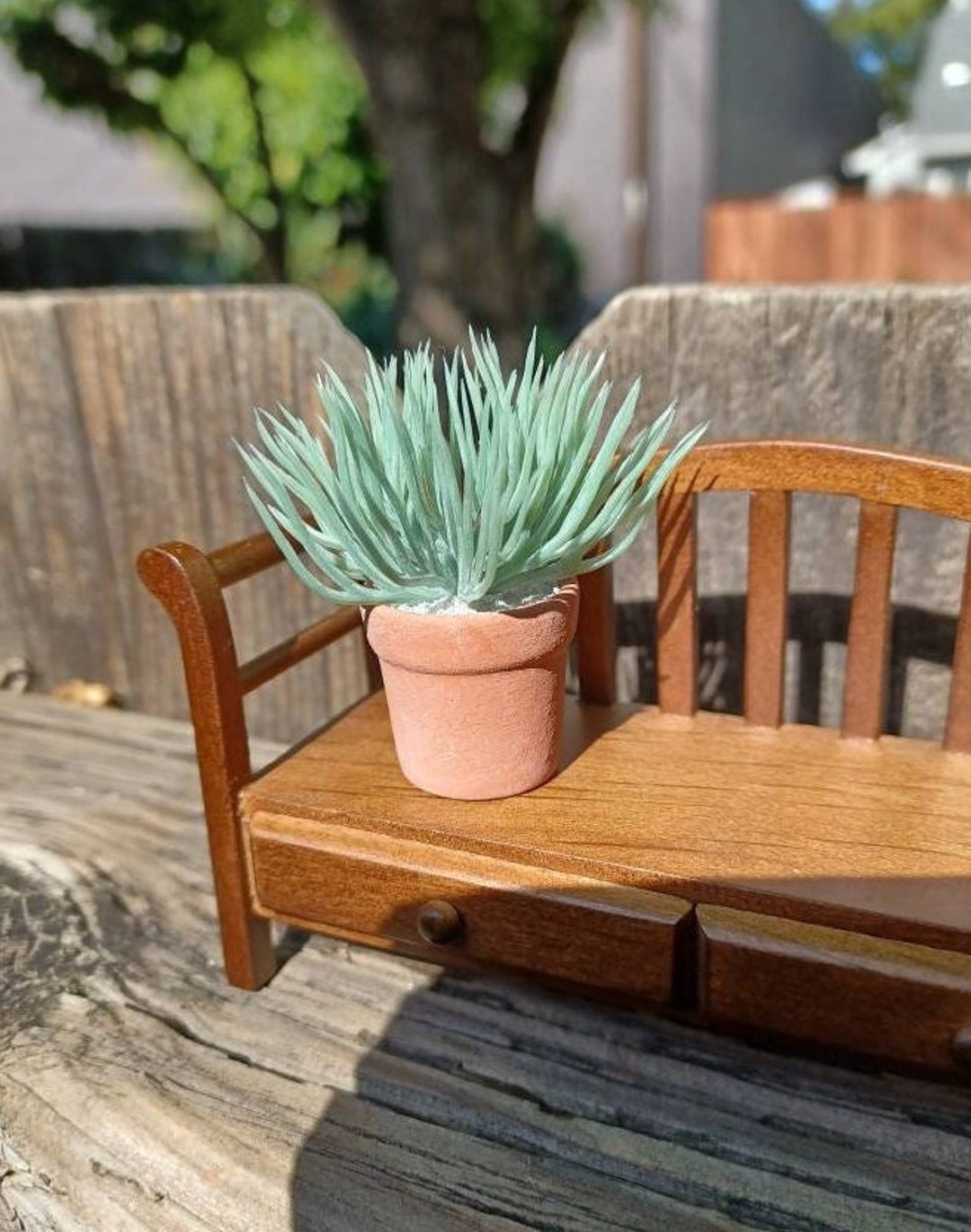 Yucca or Agave in Terracotta Pot 1:12 Dollhouse Miniature - Etsy