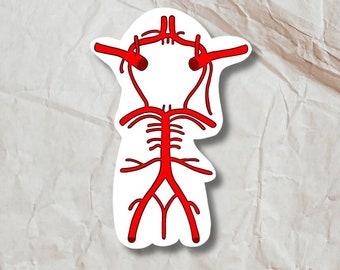 Circle of Willis Anatomy Sticker - Etsy