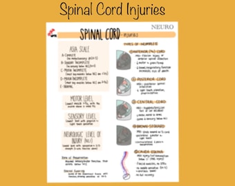 Neurological Conditions Cheat Sheet Bundle Parkinson's, MS, ALS, Spinal Cord Injuries & More PDF ...