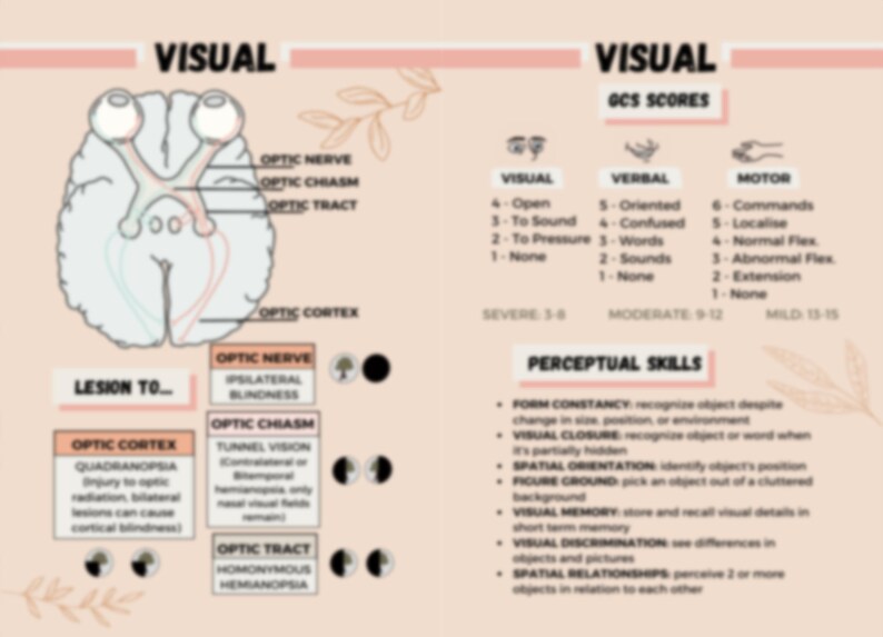 Pocket Guidebook for Physical Therapists - Etsy