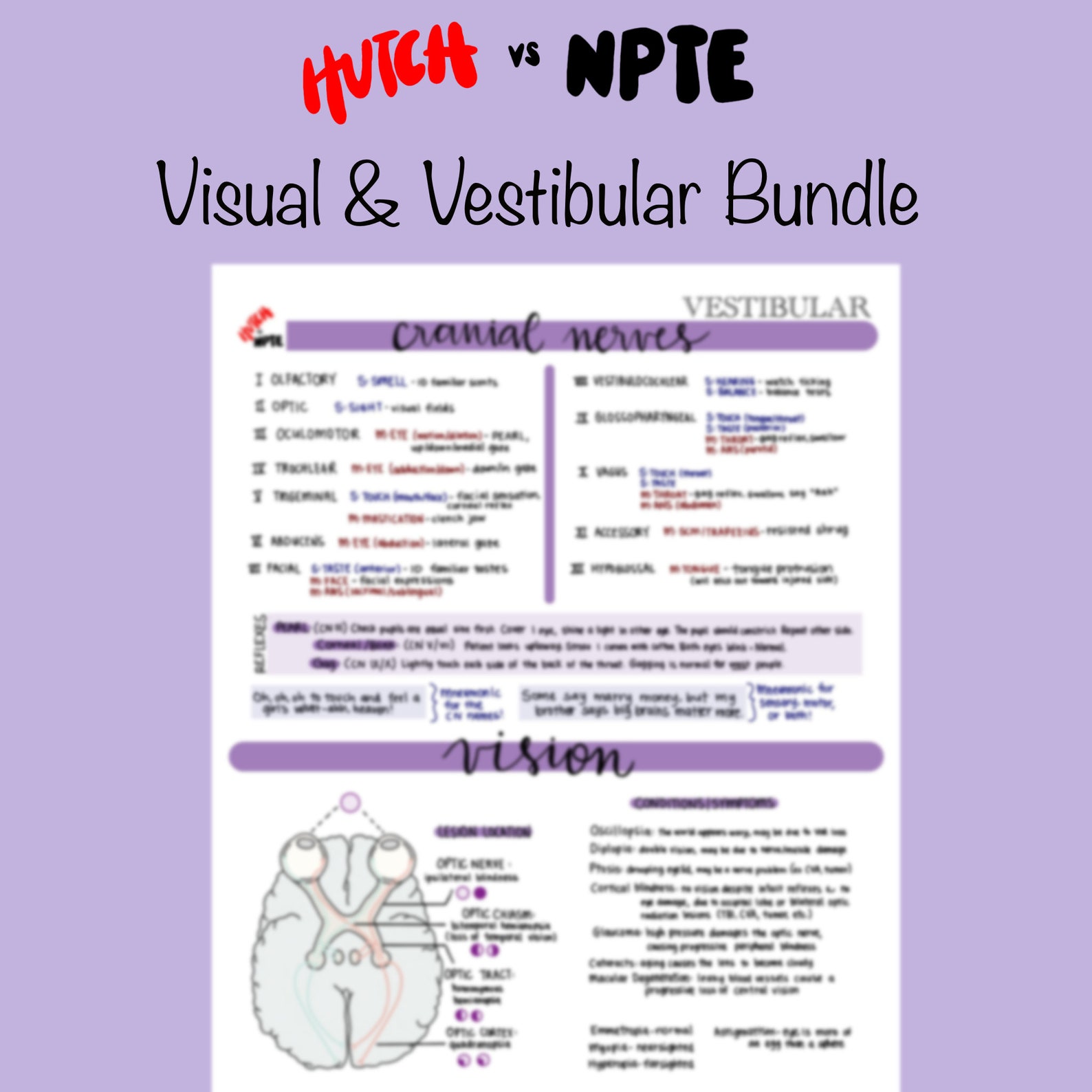 Visual & Vestibular Bundle - Etsy