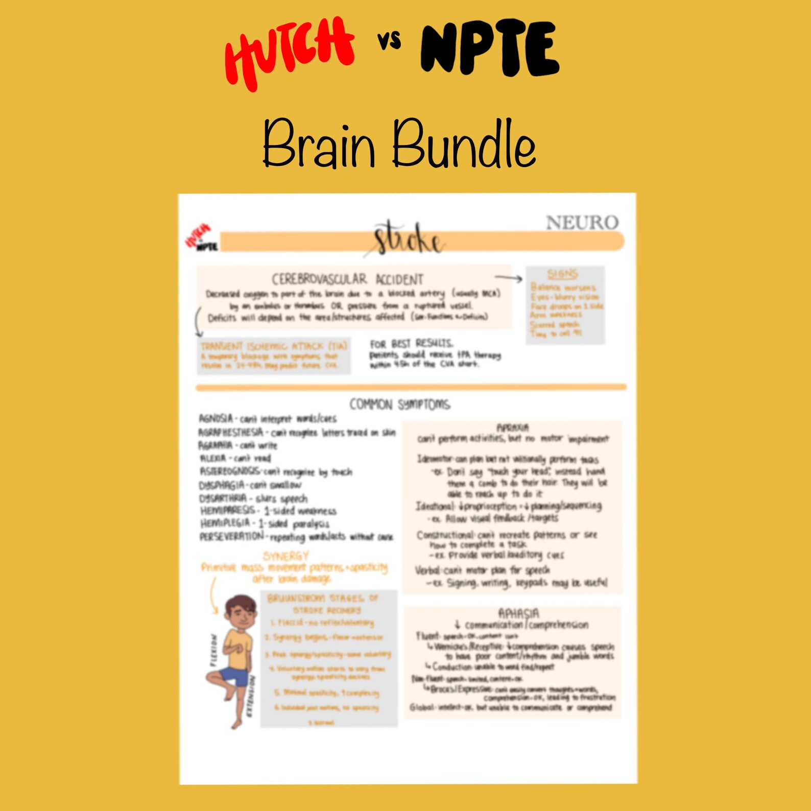 Brain Bundle (CVA/TBI) - Etsy