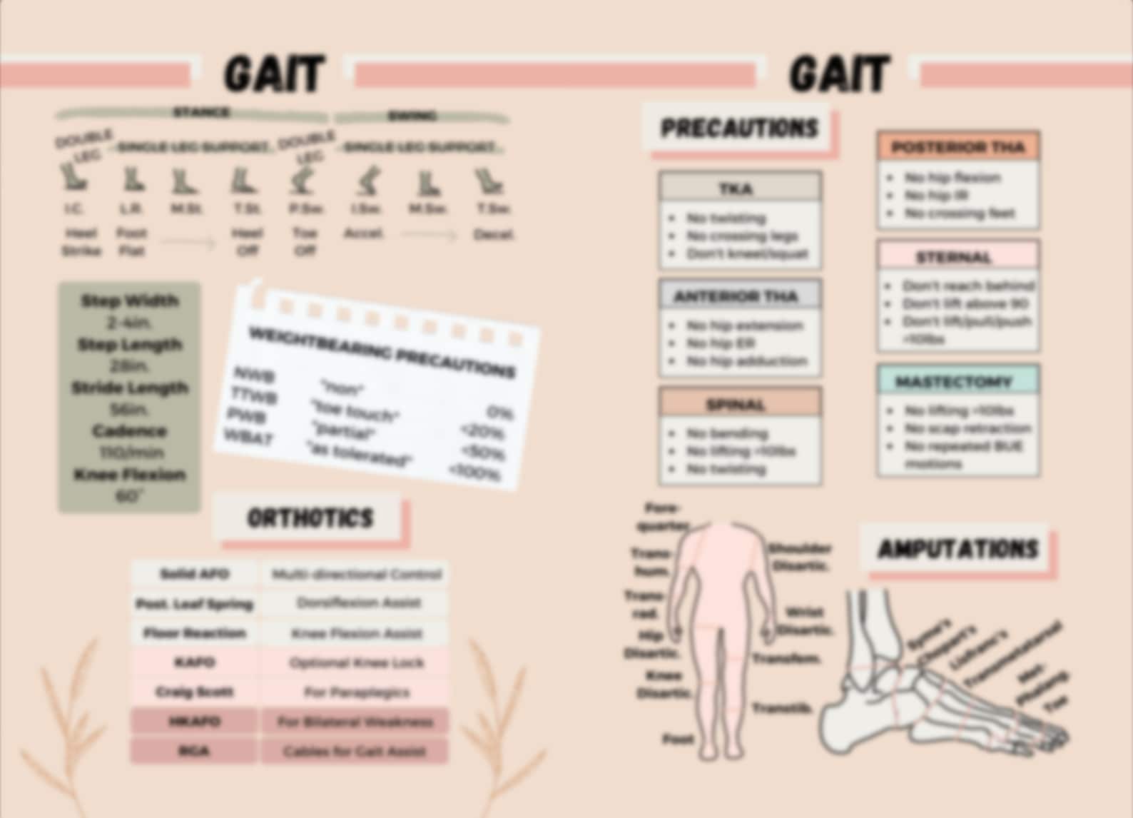 Pocket Guidebook for Physical Therapists - Etsy