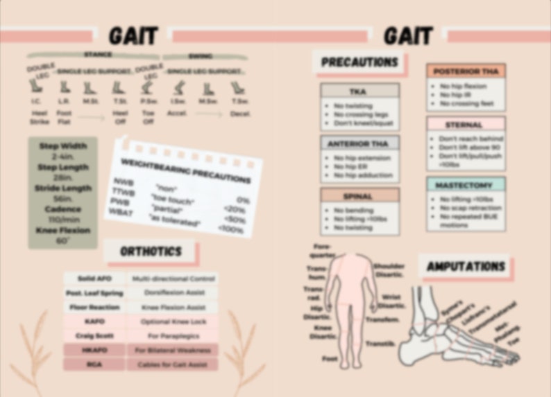 Pocket Guidebook for Physical Therapists - Etsy