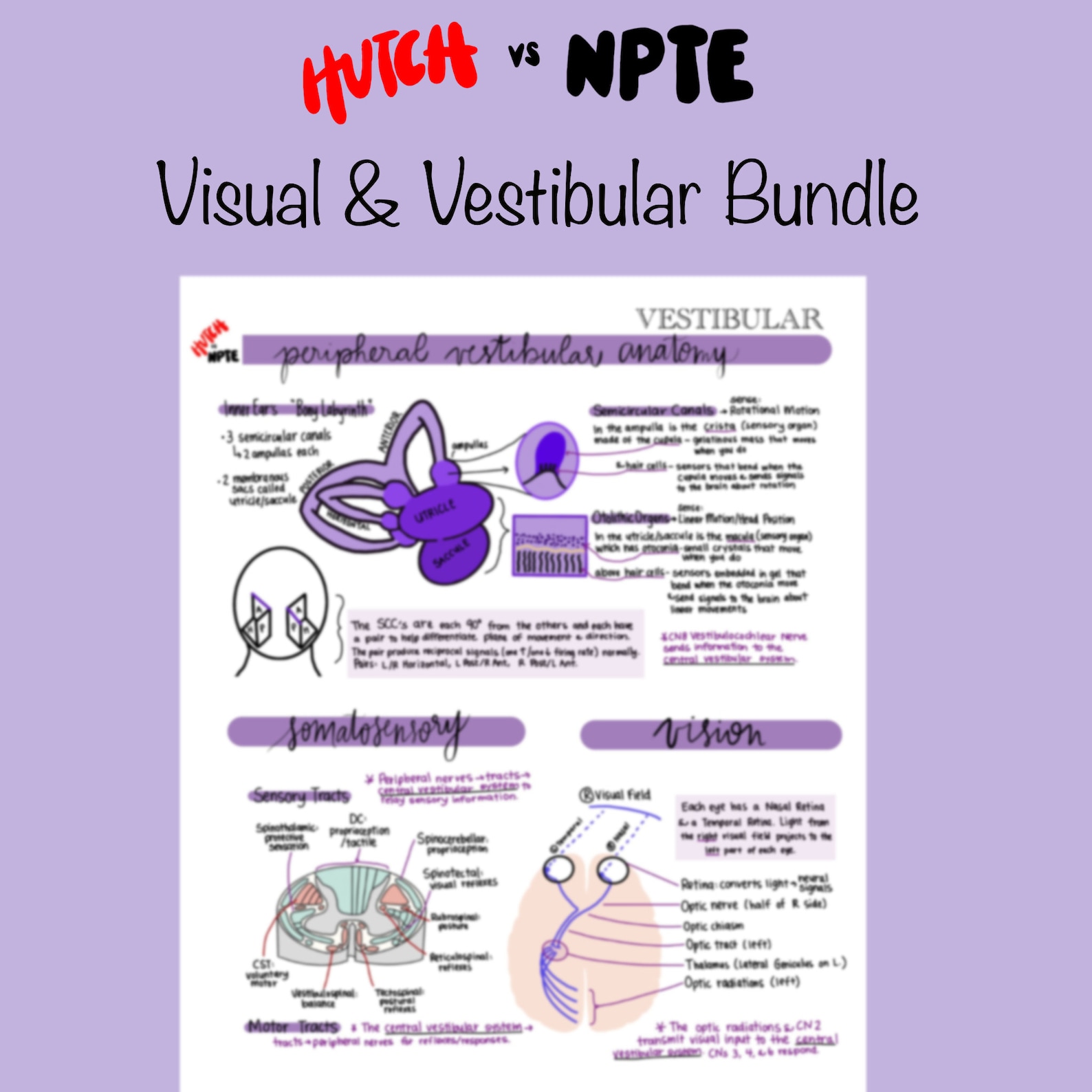 Visual & Vestibular Bundle - Etsy