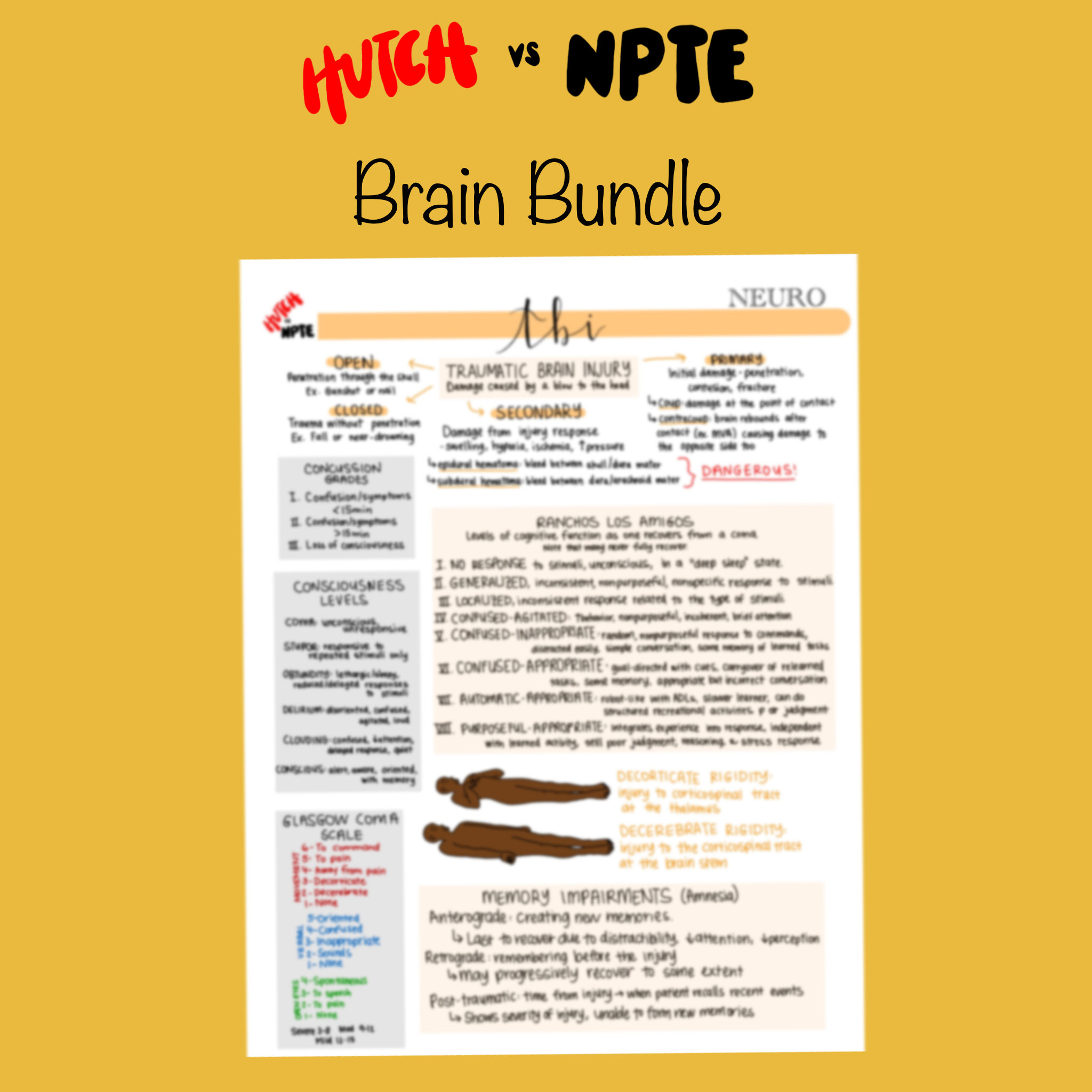 Brain Bundle (CVA/TBI) - Etsy