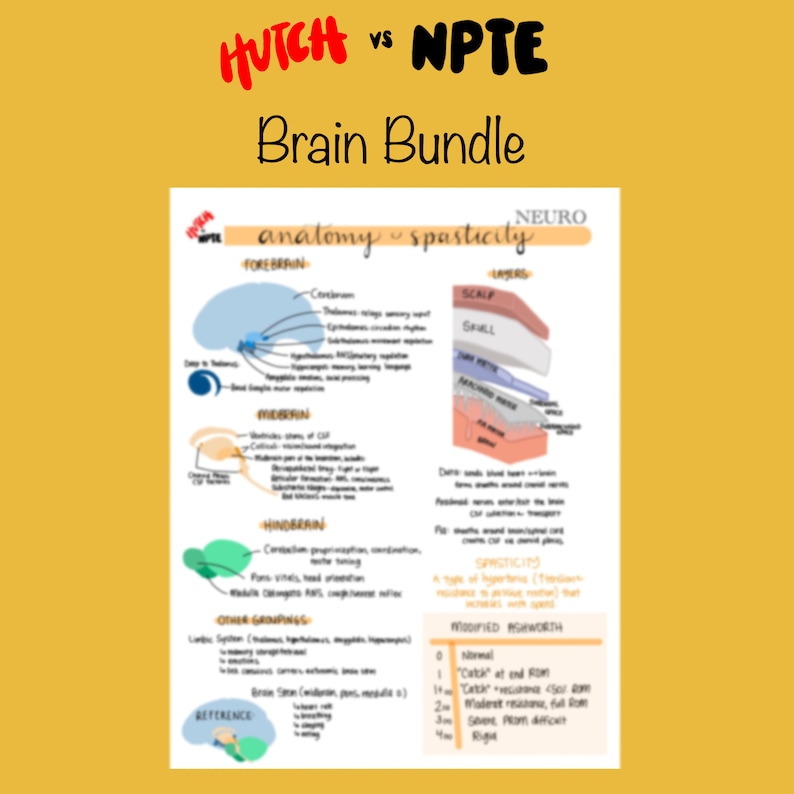 Brain Bundle (CVA/TBI) - Etsy