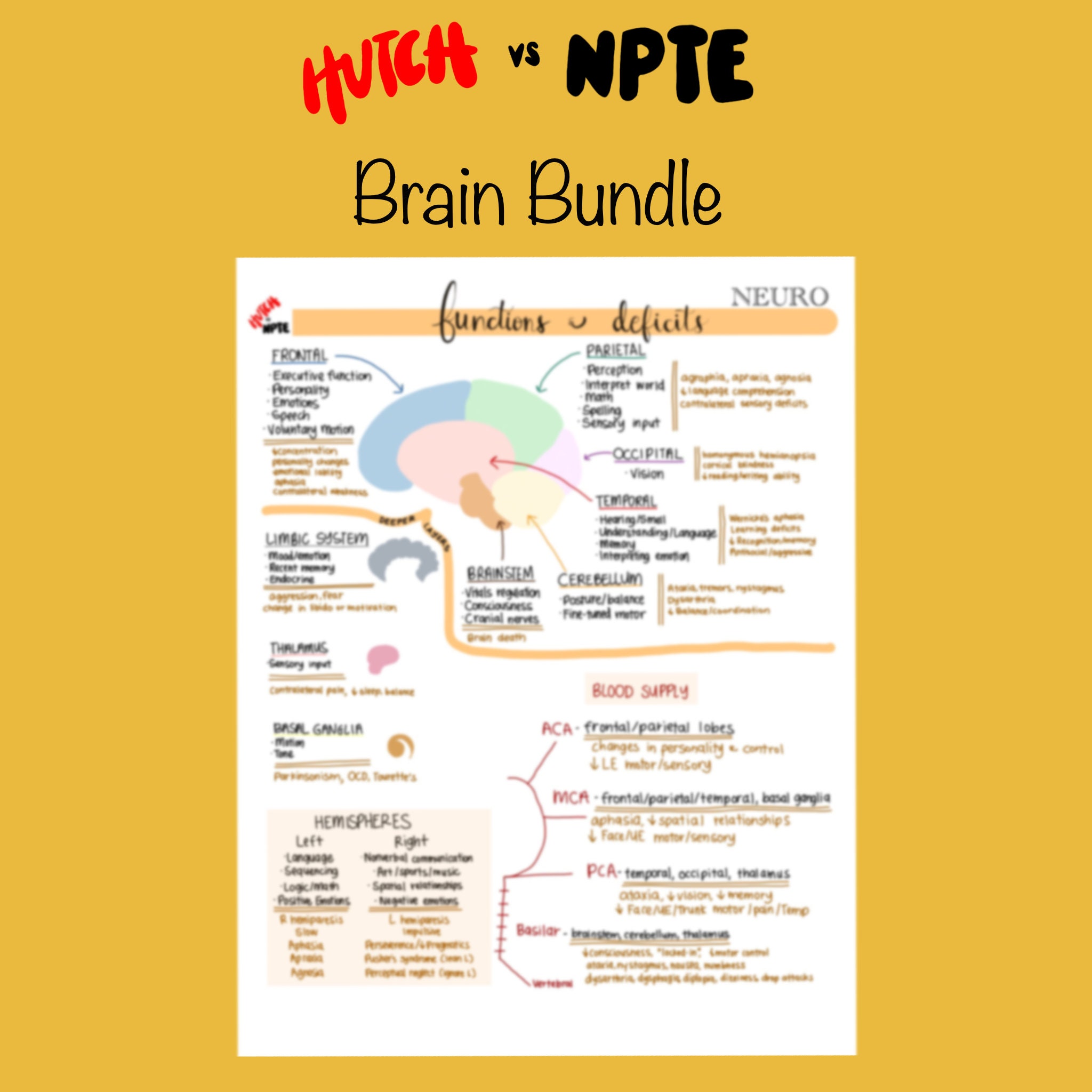 Brain Bundle (CVA/TBI) - Etsy