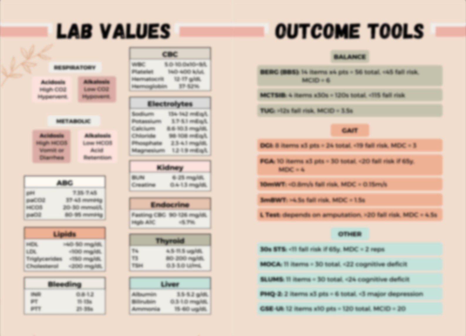 Pocket Guidebook for Physical Therapists - Etsy