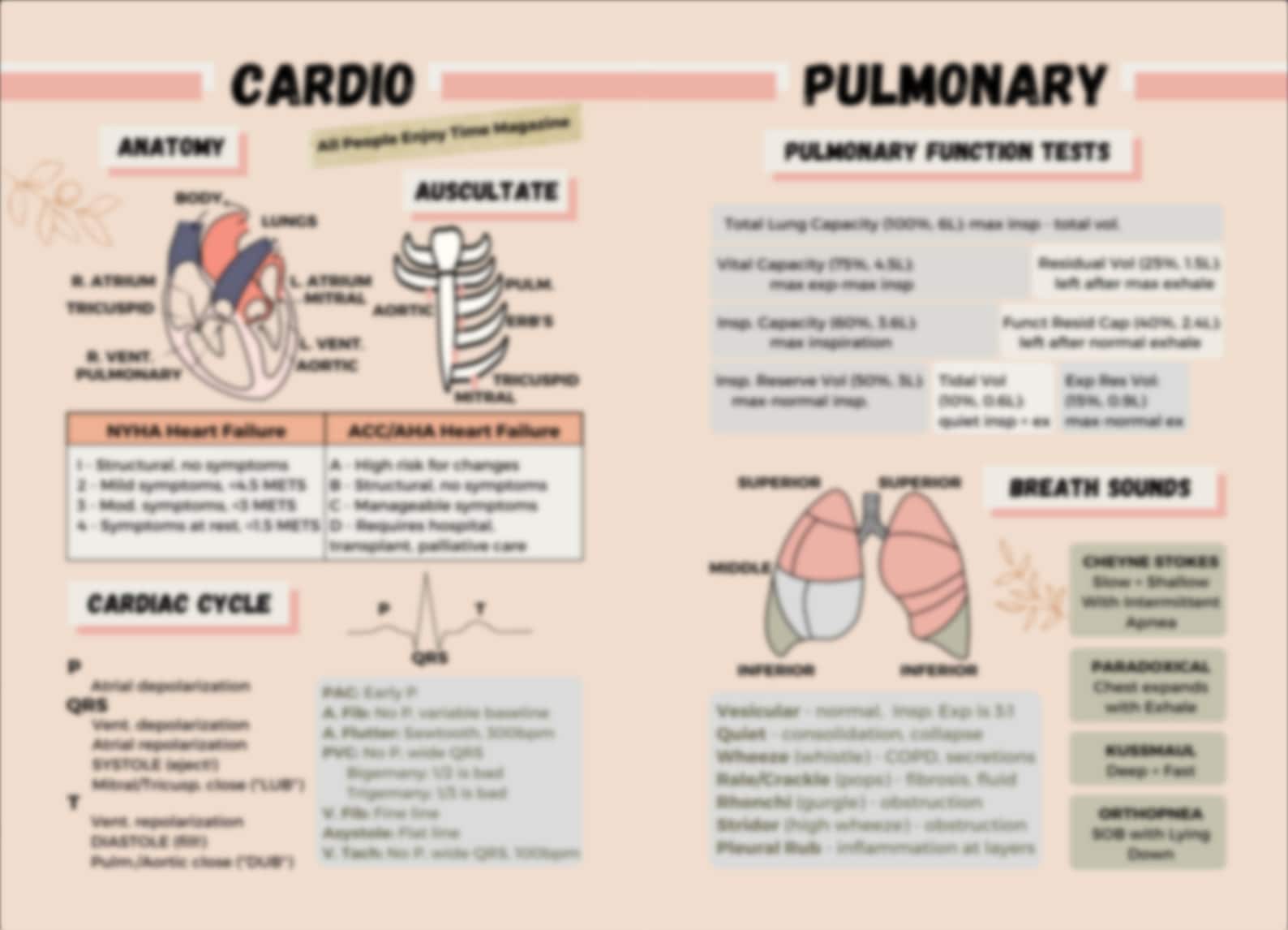 Pocket Guidebook for Physical Therapists - Etsy