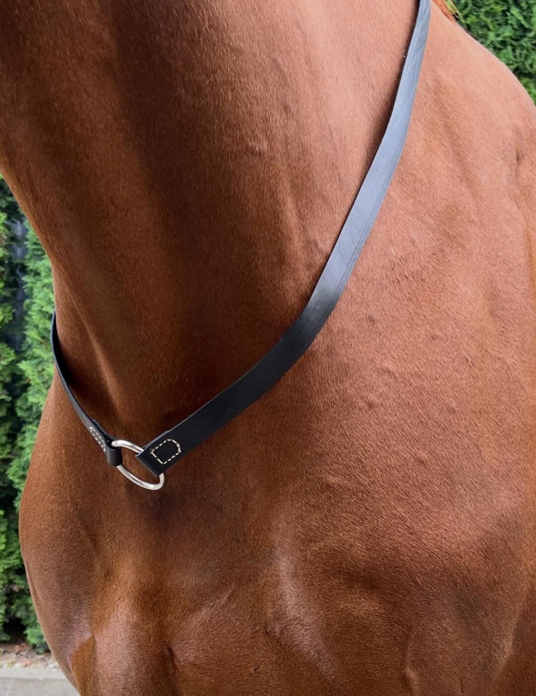 Handmade Leather Horse Cordeo: Silver Ring, Bitless Riding - Etsy
