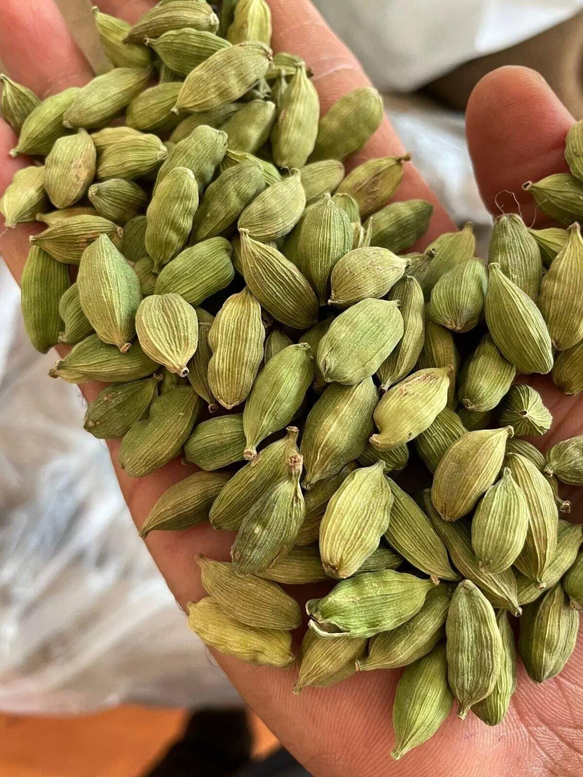 Ceylon Cardamon Cardamum Pods Pure Organic Premium Quality Whole Green ...