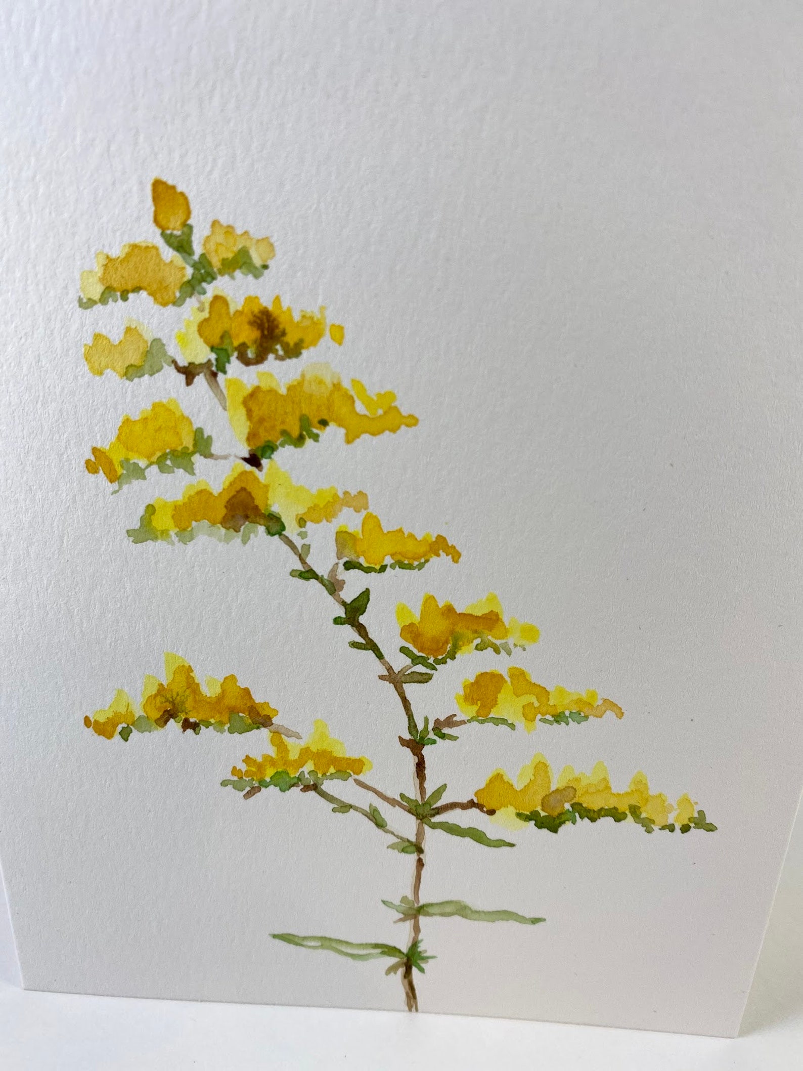 GOLDENROD: Hand-painted Watercolor Greeting Card - Etsy