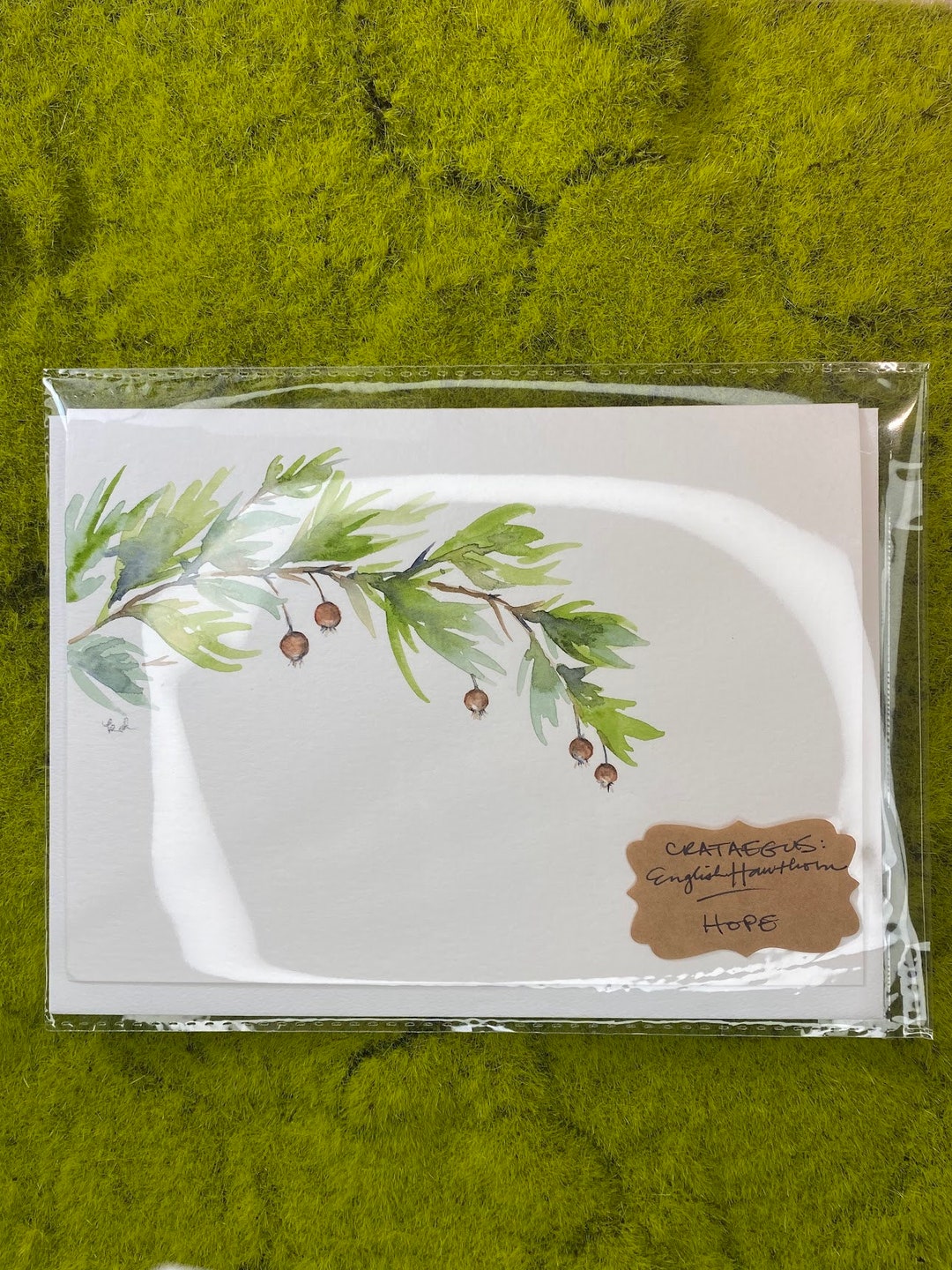 HAWTHORN: Hand-painted Watercolor Greeting Card - Etsy