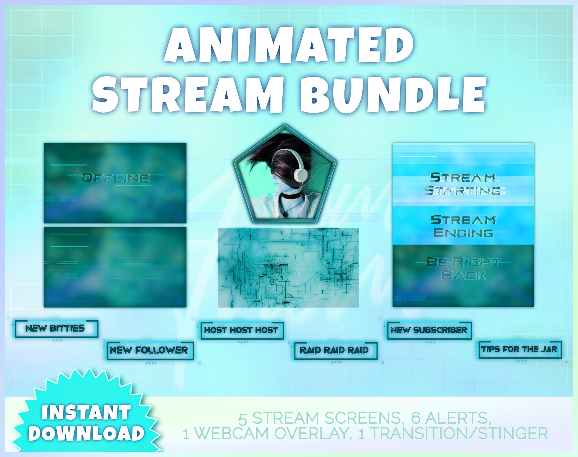 Digital Drawing & Illustration Stream Screens Stinger Webcam Overlay ...