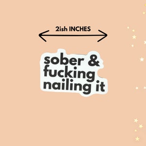 Sobriety Stickers, Sobriety Gifts for Women, Sobriety Gift for Men ...