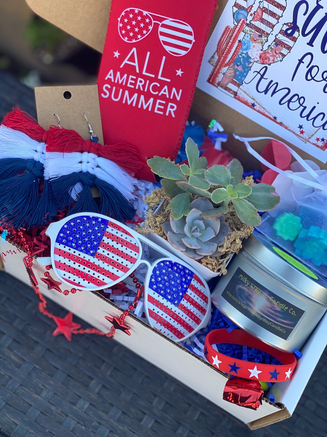 Patriotic Succulent Gift Box - Etsy