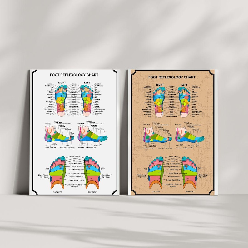 Foot Reflexology Chart: Acupressure Points Map for Massage Therapy (PDF ...