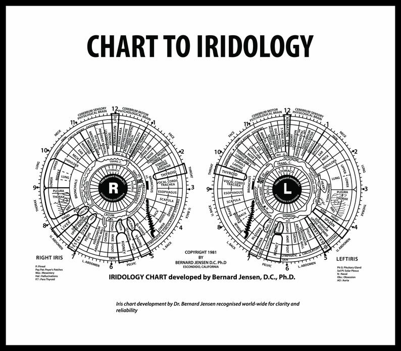 Dr. Bernard Jensen Iridology Chart Set: Eye Reflex Analysis (digital ...