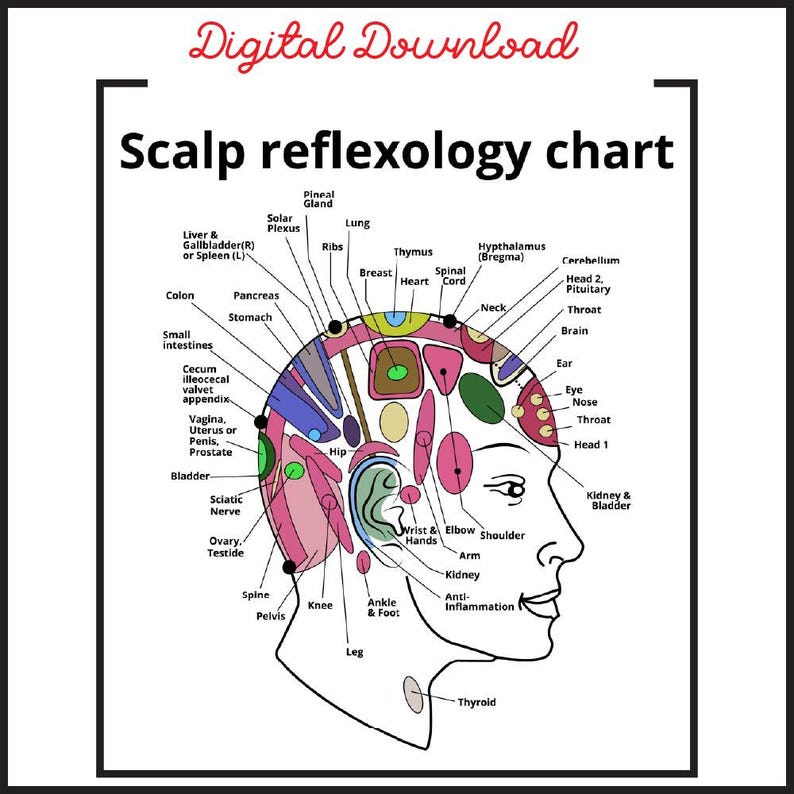 Reflexology Charts: Hand, Foot, Ear, Scalp & Spine (digital Download ...
