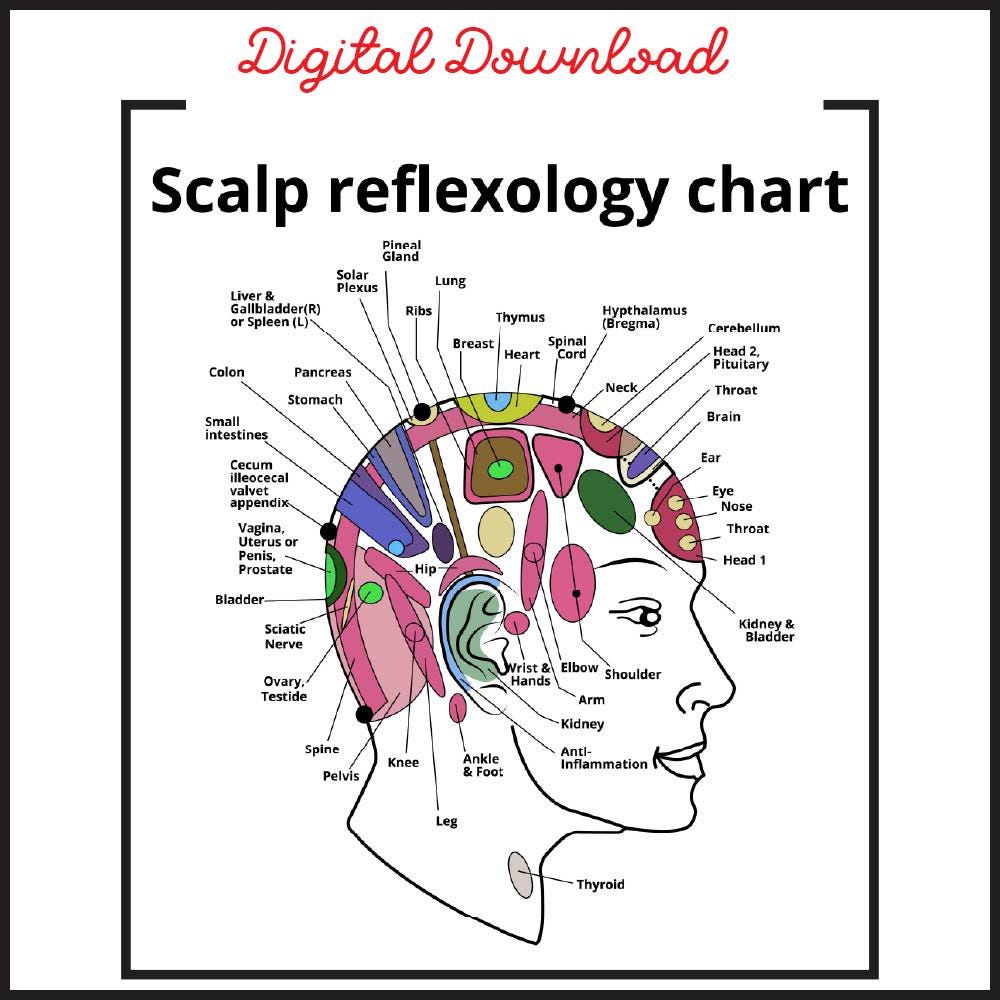 Reflexology Charts: Hand, Foot, Ear, Scalp & Spine (digital Download ...
