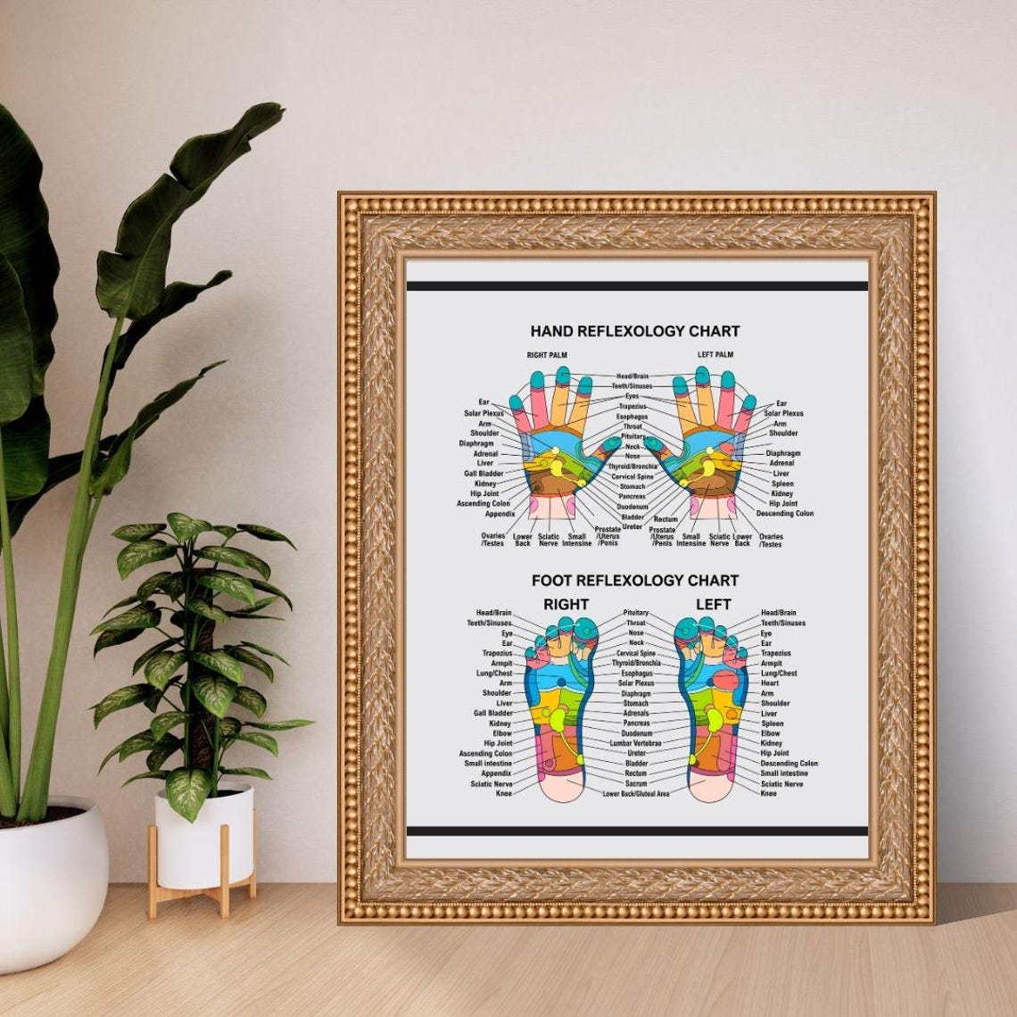 Hand and Foot Reflexology Chart Acupressure Map Foot, Hand Acupressure ...