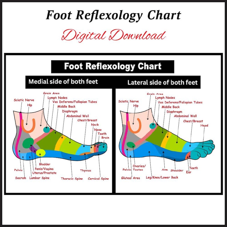 Reflexology Charts: Hand, Foot, Ear, Scalp & Spine (digital Download ...