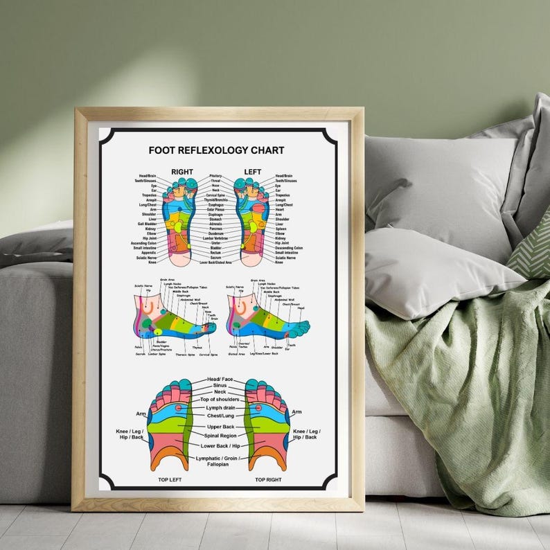 Foot Reflexology Chart: Acupressure Points Map for Massage Therapy (PDF ...