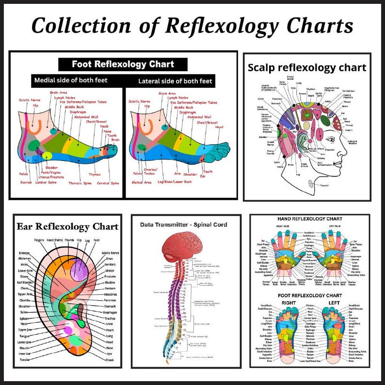Reflexology Charts: Hand, Foot, Ear, Scalp & Spine (digital Download ...