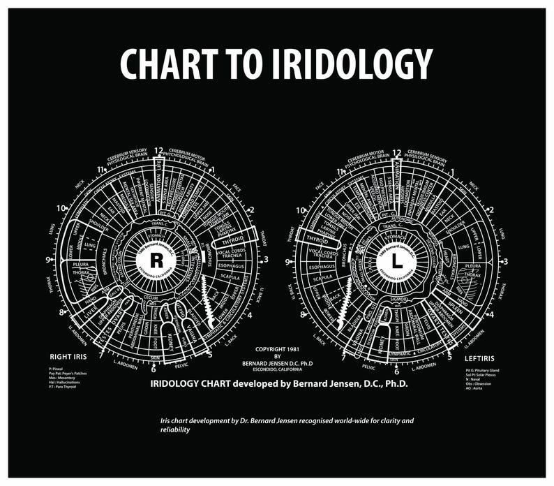 Dr. Bernard Jensen Iridology Chart Set: Eye Reflex Analysis (digital ...