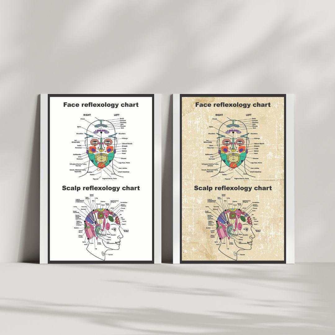 Face & Scalp Reflexology Chart: Acupressure Points (digital Download ...