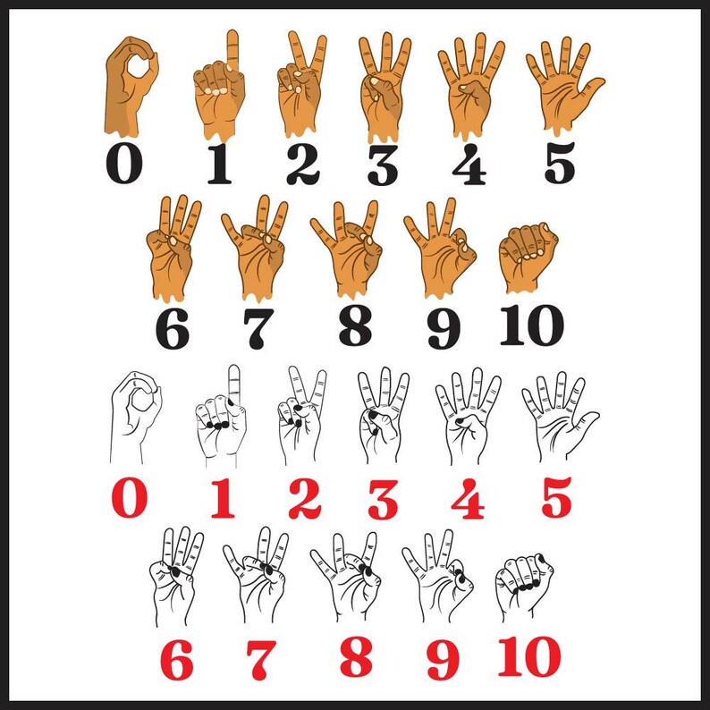 ASL Chart Bundle, Sign Language Alphabet, Numbers, Phrases (printable ...