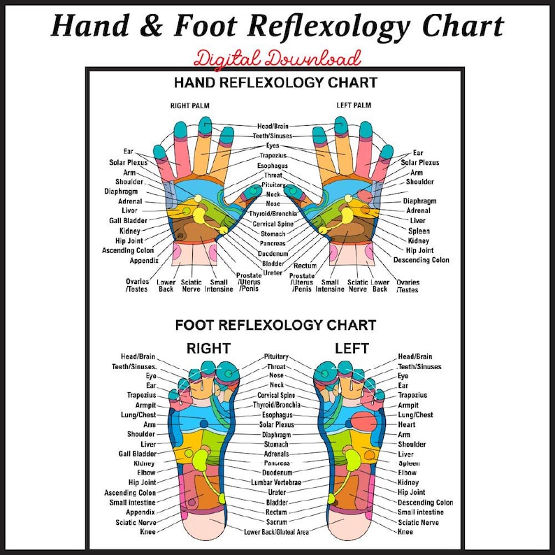Reflexology Charts: Hand, Foot, Ear, Scalp & Spine (digital Download ...